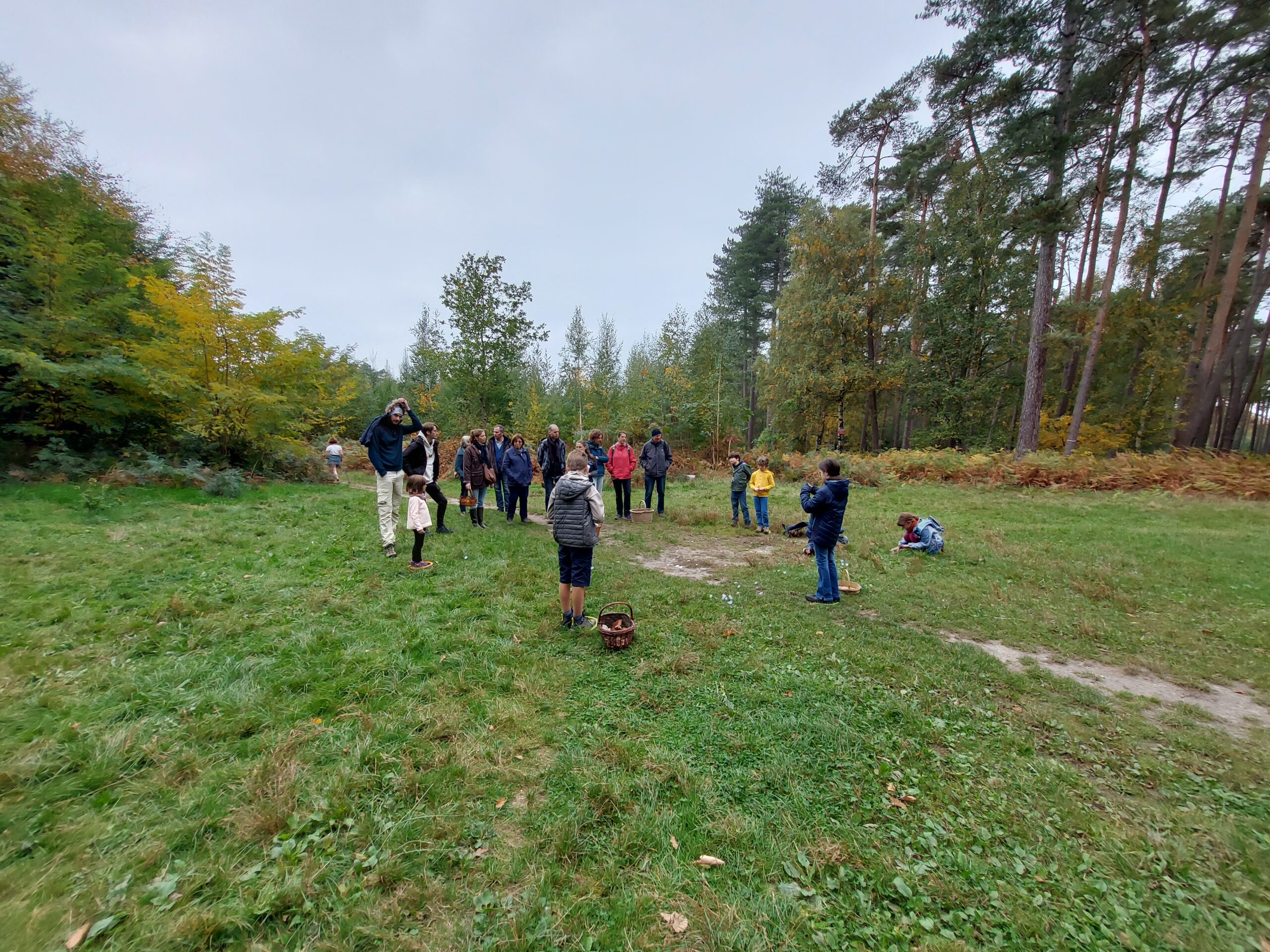 Au détour des sentiers - GAL Pays des 4 Bras